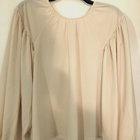 FRENCH PRIVATE LABEL | Tops | Beige Chiffon Dressy Blouse | Poshmark